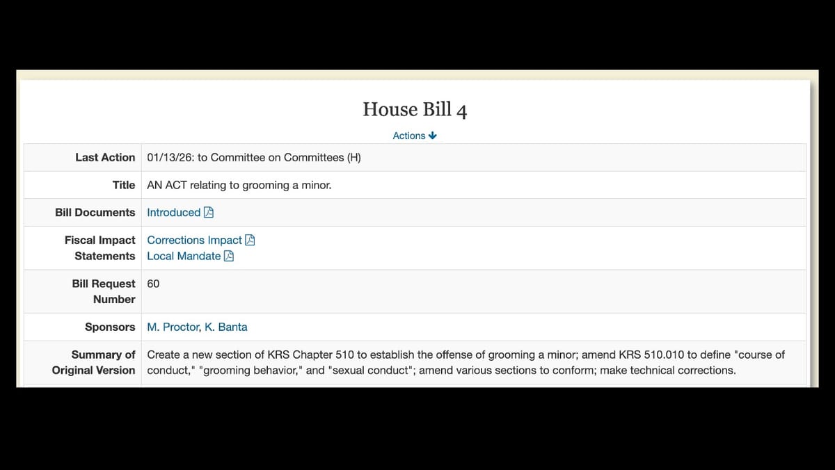 'A clear and necessary step': Advocates push anti-grooming bill